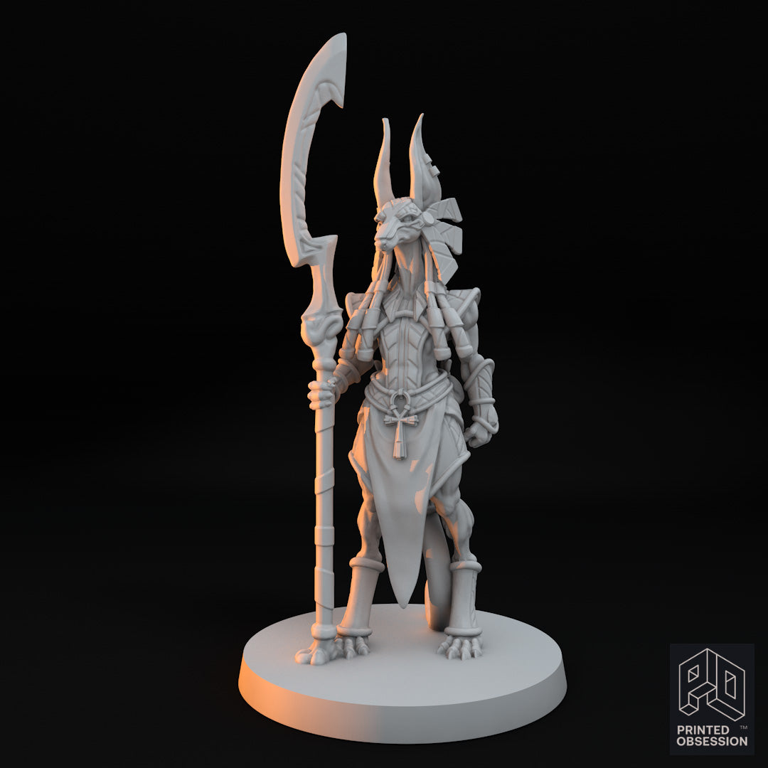 Anubis Guard - Tabletop Miniature – QuestBourne