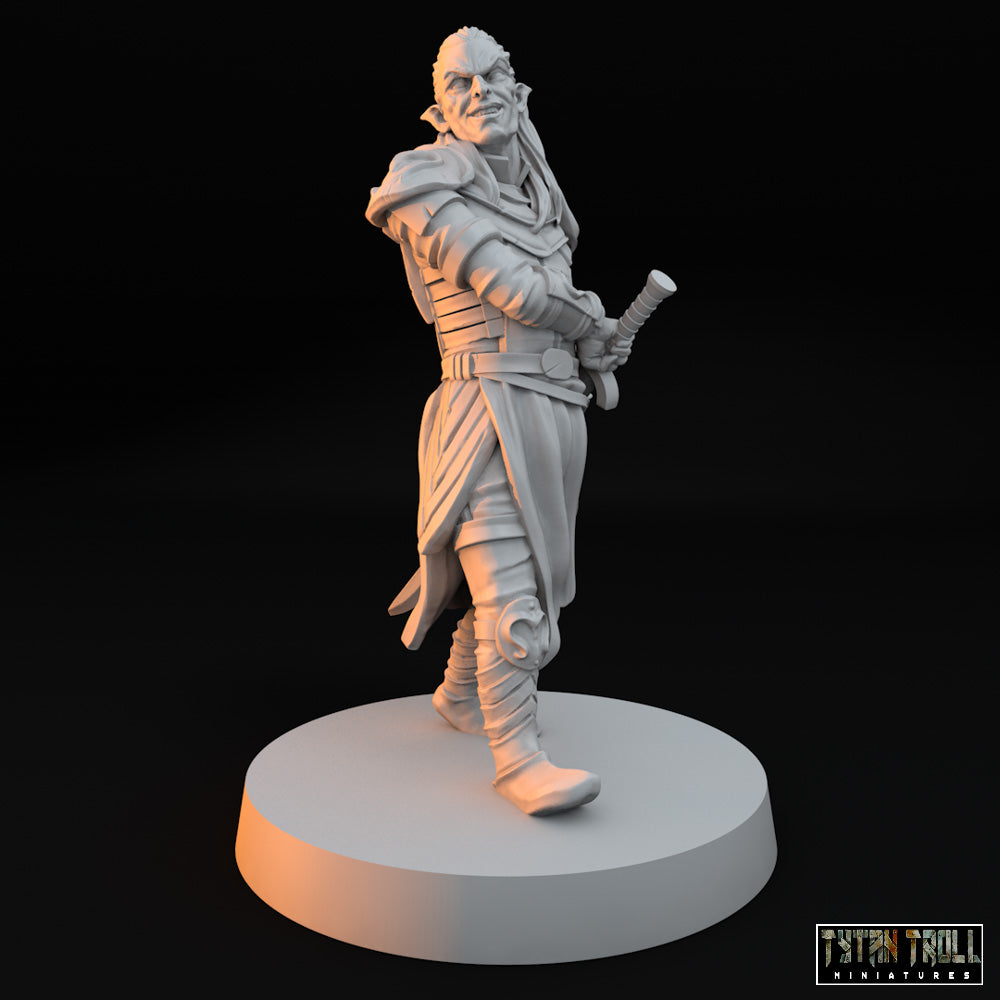 Rahadin - Tabletop Miniature – QuestBourne