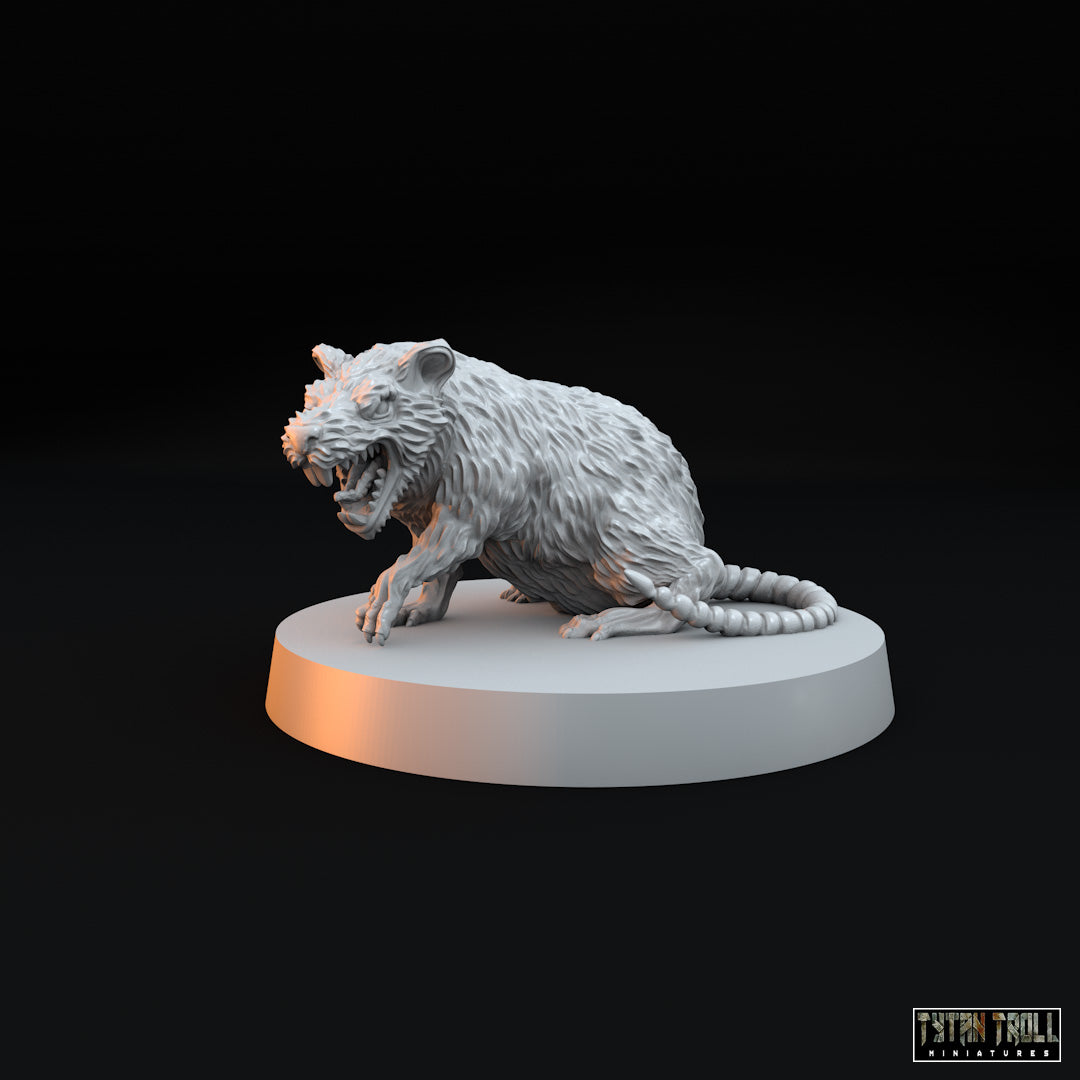 Giant Rat 02 - Tabletop Miniature – QuestBourne