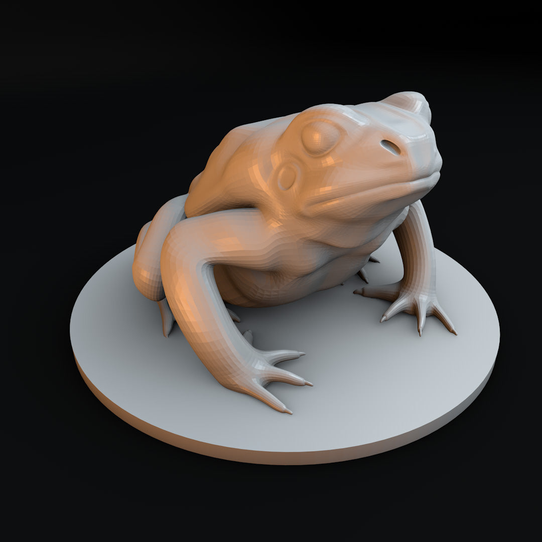 Giant Toad Tabletop Miniature – QuestBourne