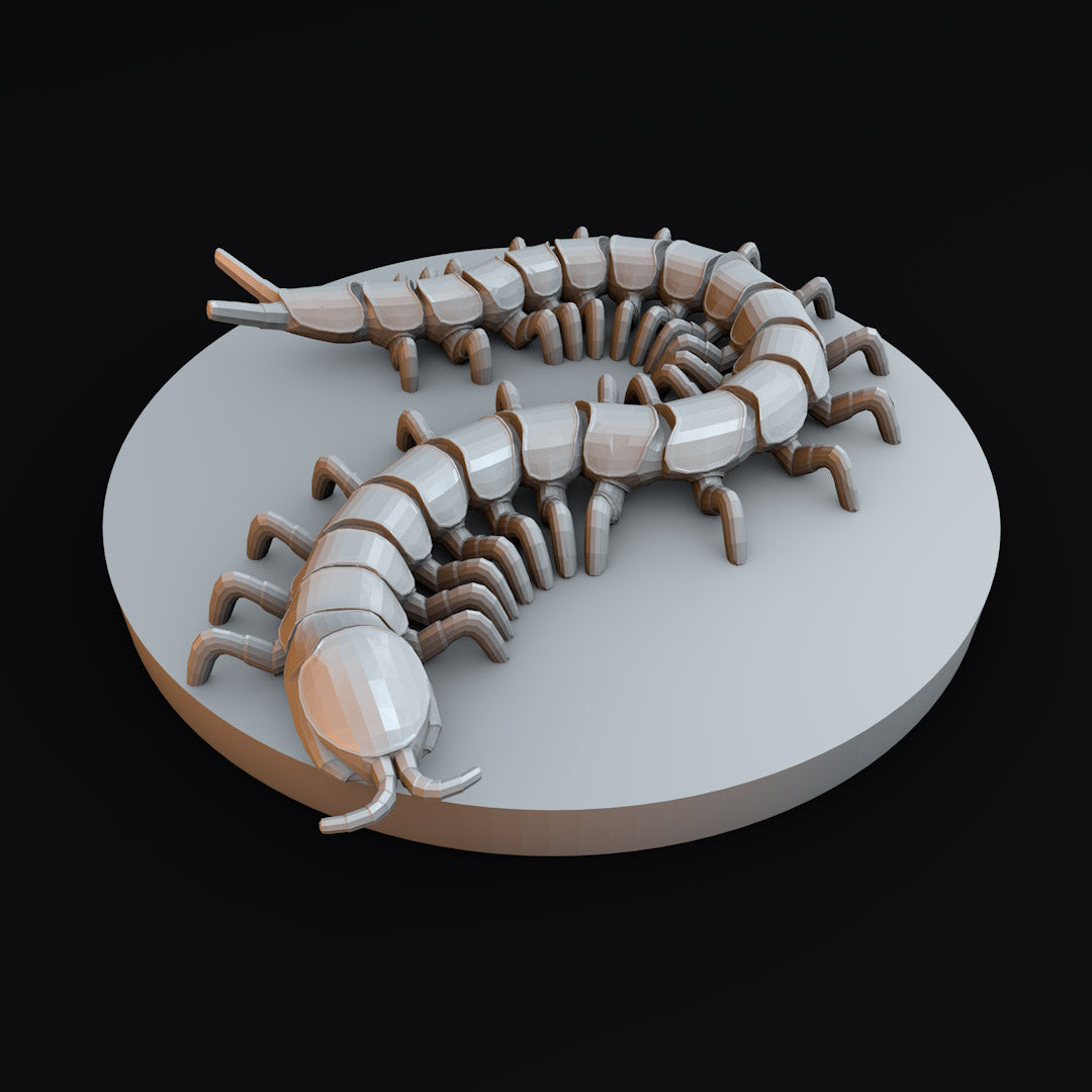 Giant Centipede Tabletop Miniature – QuestBourne