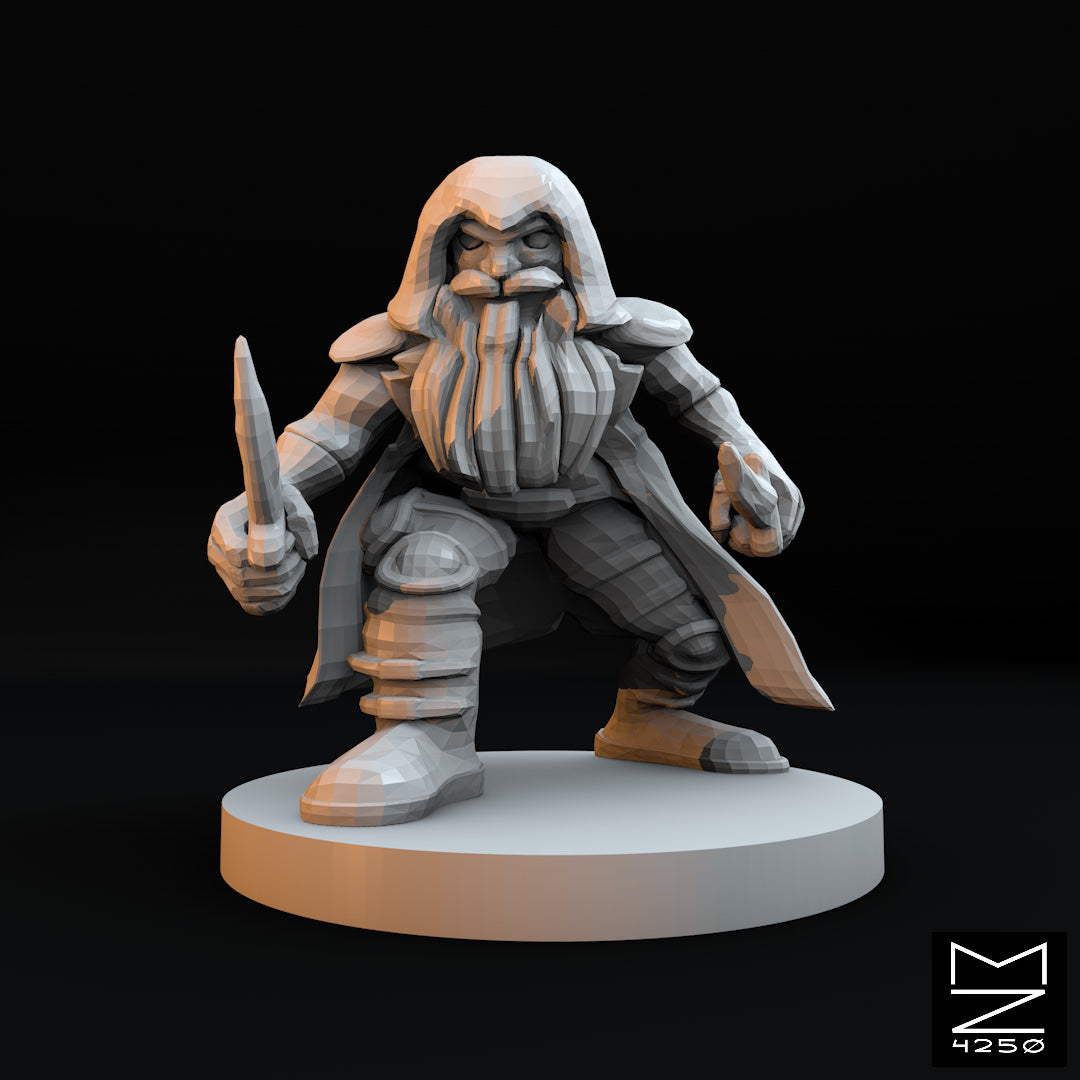 Male Dwarf Rogue Tabletop Miniature – QuestBourne
