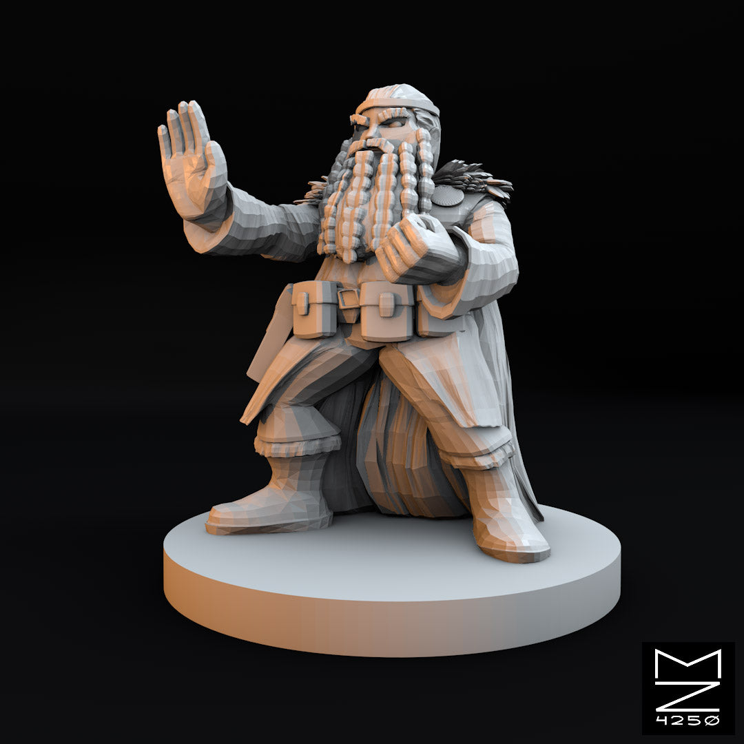 Male Dwarf Wizard 2 Tabletop Miniature – QuestBourne
