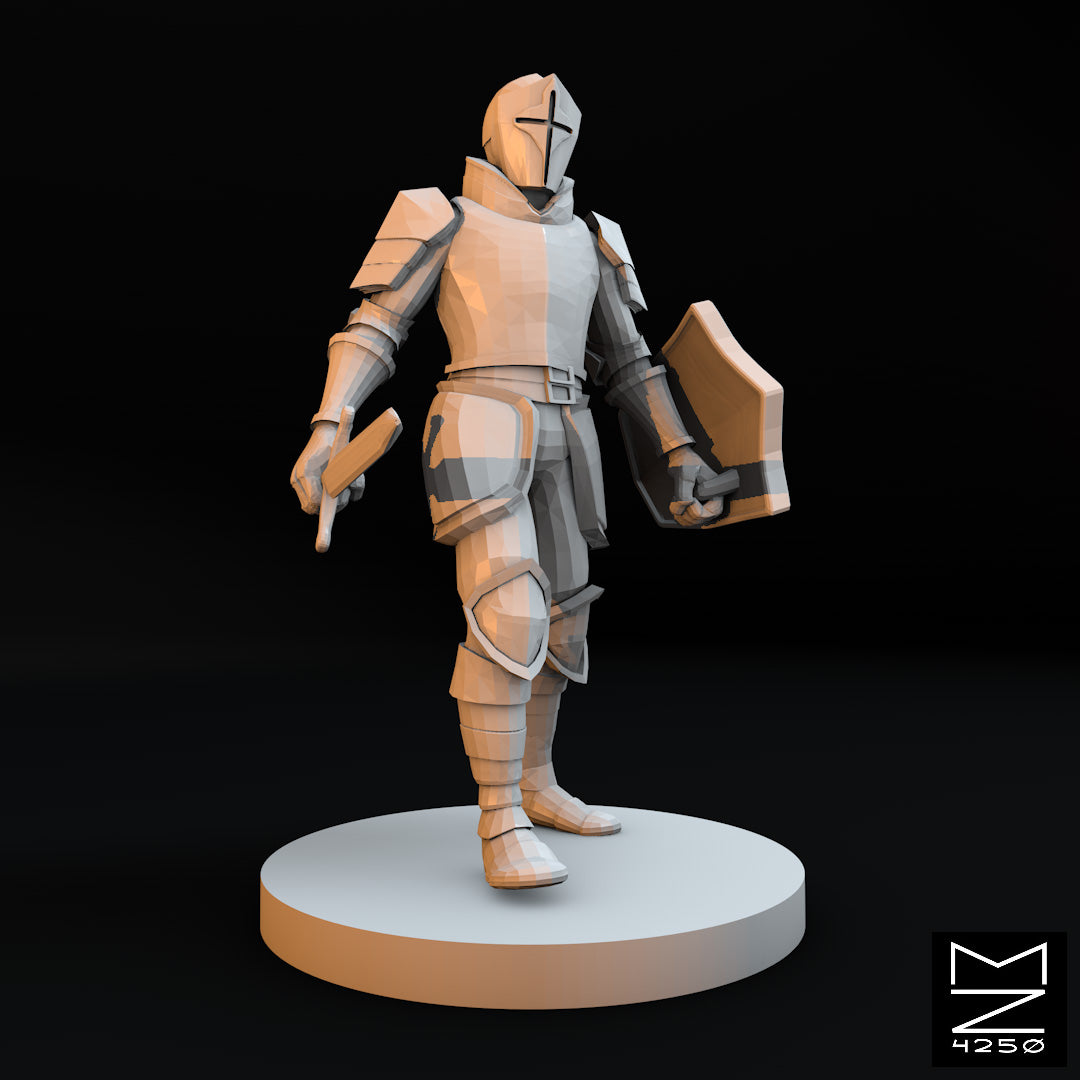 Male Human Paladin 1 Tabletop Miniature - QuestBourne