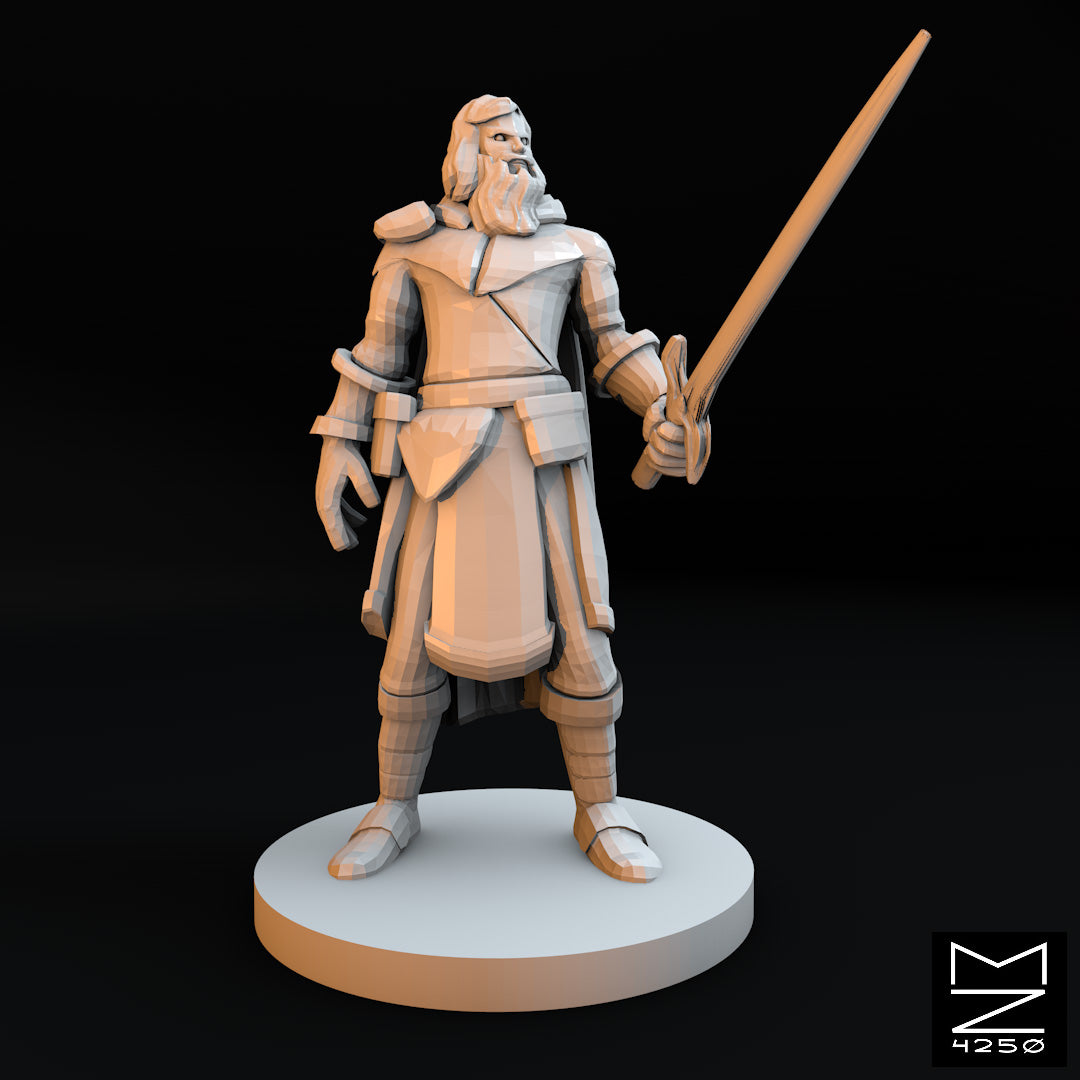 Male Human Paladin 3 Tabletop Miniature - QuestBourne