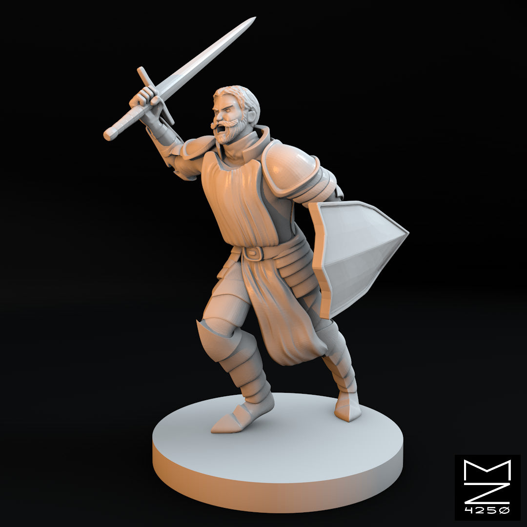 Male Human Paladin 4 Tabletop Miniature - QuestBourne