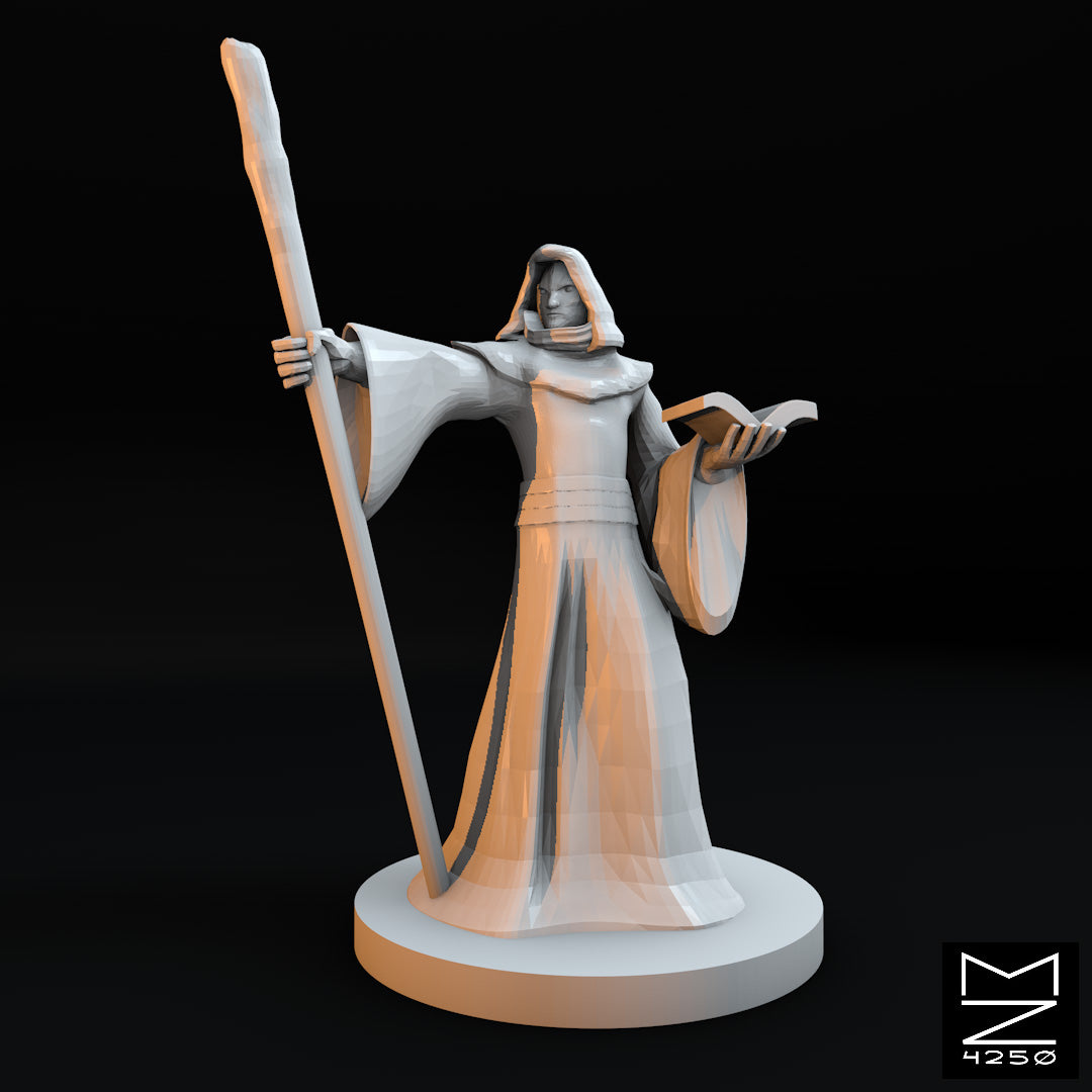 Male Human Wizard 1 Tabletop Miniature – QuestBourne